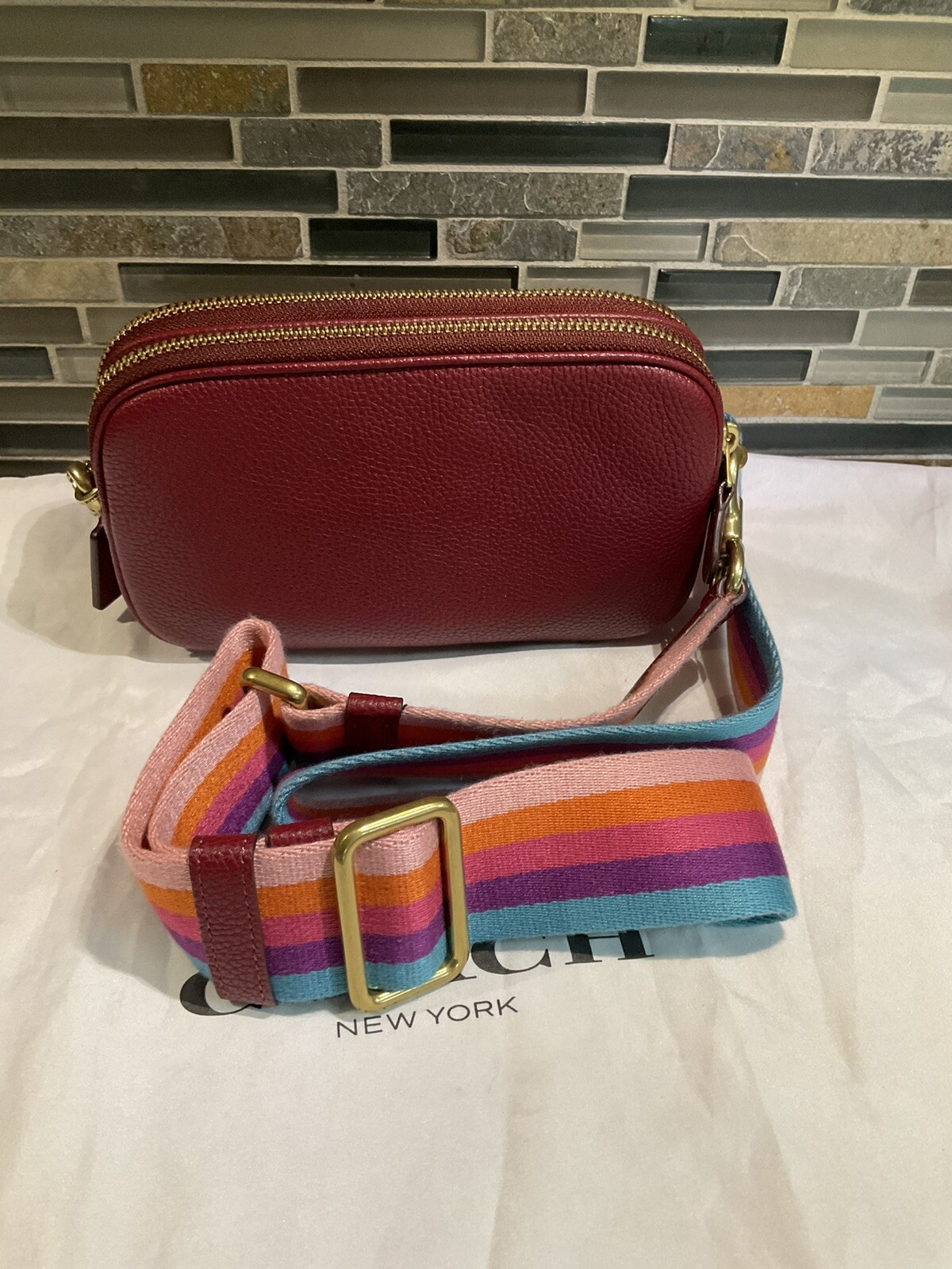 🌈Coach Sadie Rainbow REXY Signature Horse & Carriage… - Gem