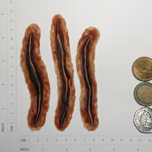 Cut slash scars set #3: Umber tint -styles #1-#6 -set of 6 latex scar ...