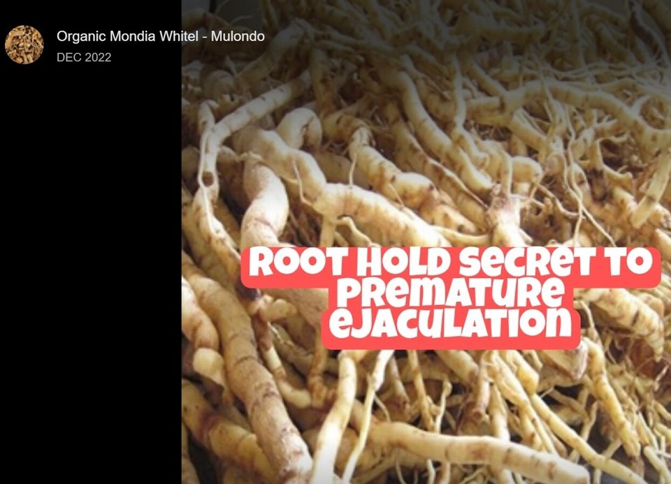 100g Pure Organic Mulondo Root Mondia Whitei/ Gondolosi/ entengo ...