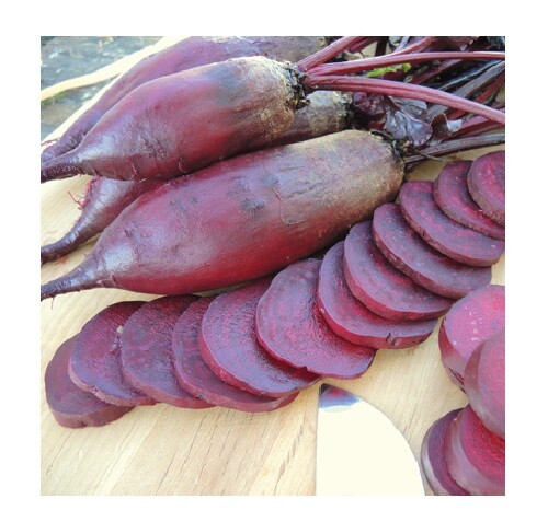 Cylindra Long Red Beet root 50 - 4800 Seeds Sweet & Delicious MORE ...