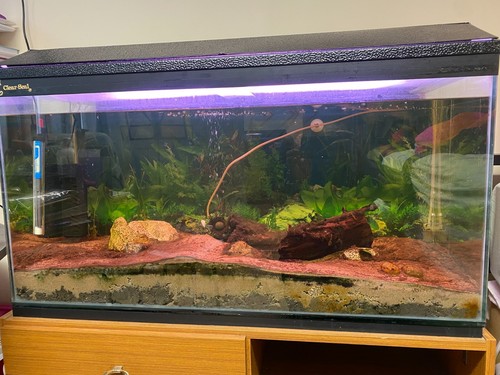 Aquarium Fish Tank with Cabinet Complete set up 150L / 32gallon *NOW ...