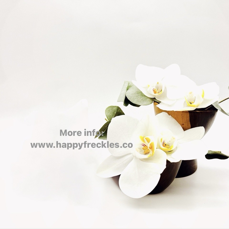 NuSkin Beauty Focus Collagen Plus Citrus + Nu Biome Caffeine FREE ...