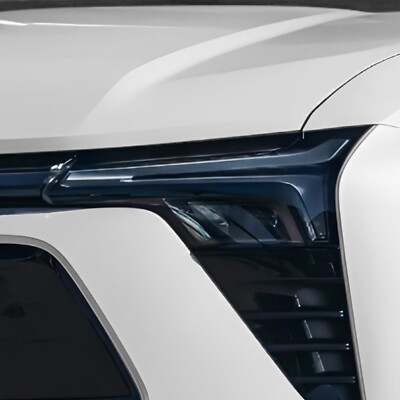 Fits Chevy Blazer EV 24-25 Head Light Precut Clear Bra PPF Headlight ...