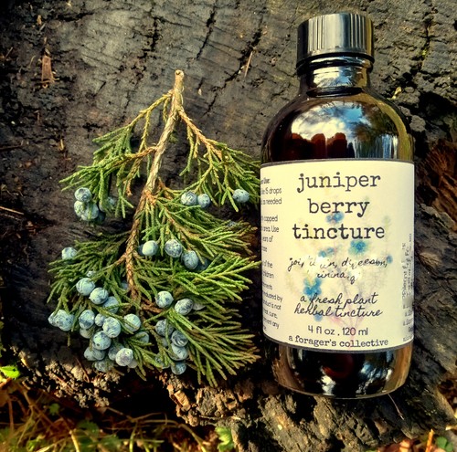 juniper berry tincture , juniper herbal extract , joint digestive ...