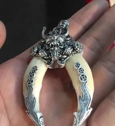 Old Chinese Tooth Tibet Silver Dragon protective talisman Pendant | eBay
