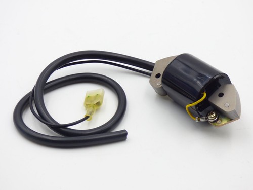 Zündspule CDI passend Robin EC10 EC 10 Motoren Rüttelplatte Ammann ...