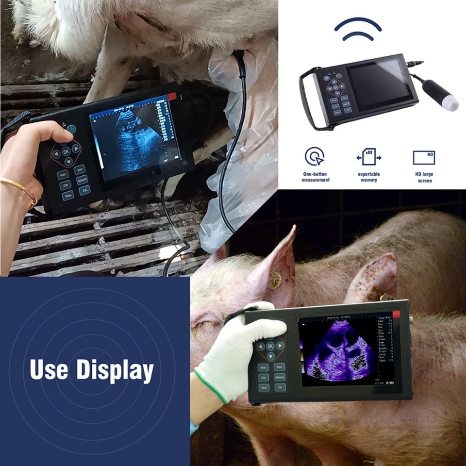 Portable Veterinary Ultrasound Machine Handheld Scanner For pigs, sheep ...