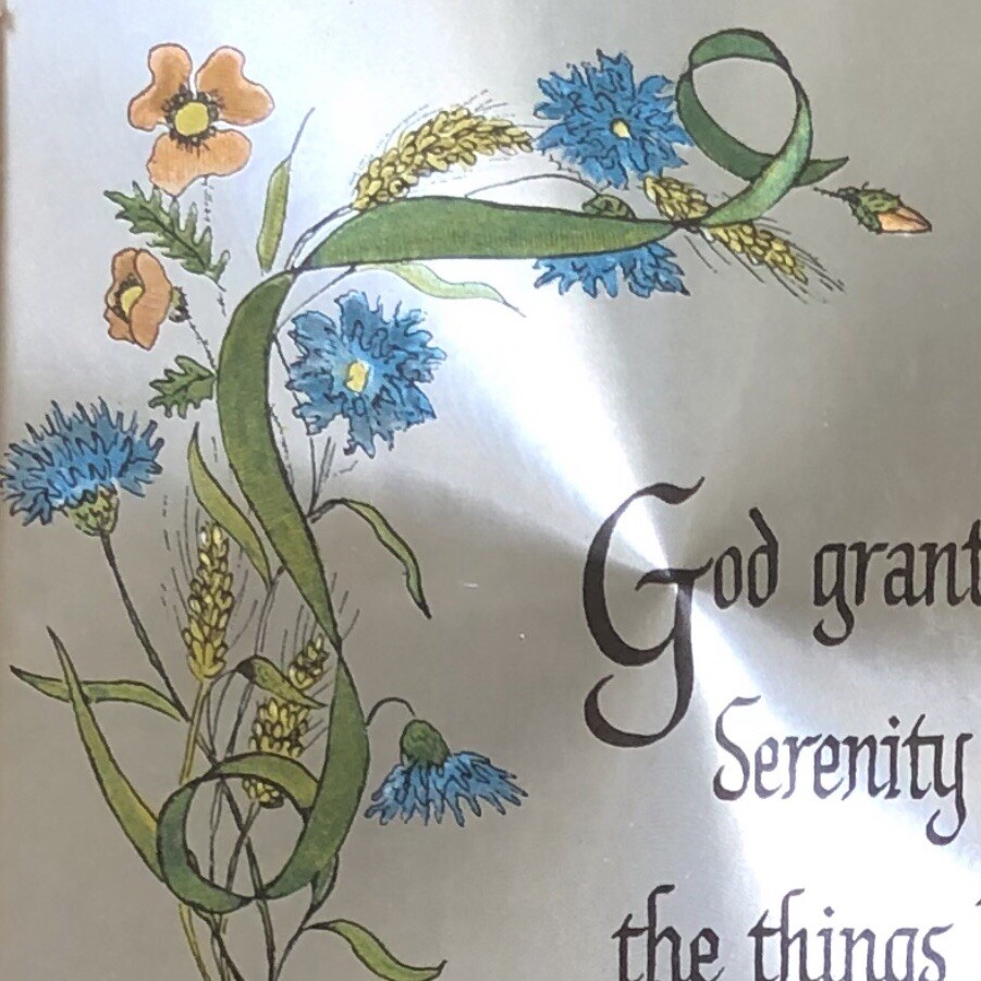 Vintage Serenity Prayer Wall Plaque Floral Blue Birds Framed Recovery ...