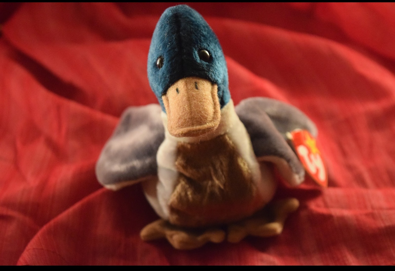 TY Beanie Baby Jake Duck, 5th Gen Hang 4th Gen Tush Gosport PE RARE TAG ...