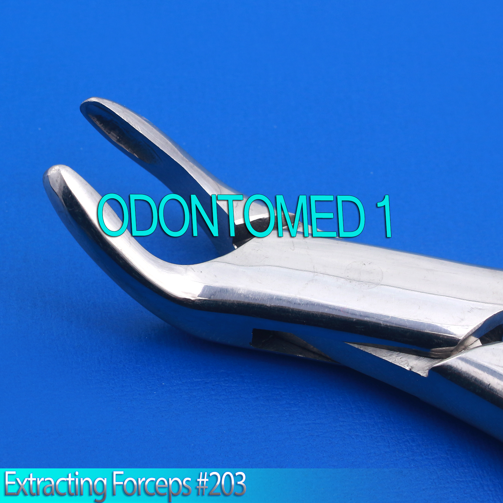 Extracting Forceps# 203 Dental Veterinary Surgical | eBay