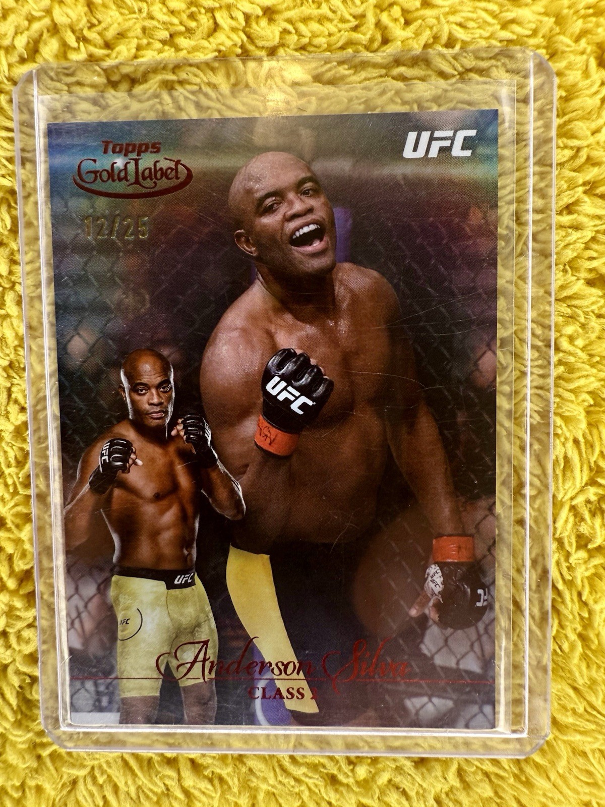Anderson Silva 2024 Topps Gold Label UFC #80 Class 2 - Red /25 Price ...