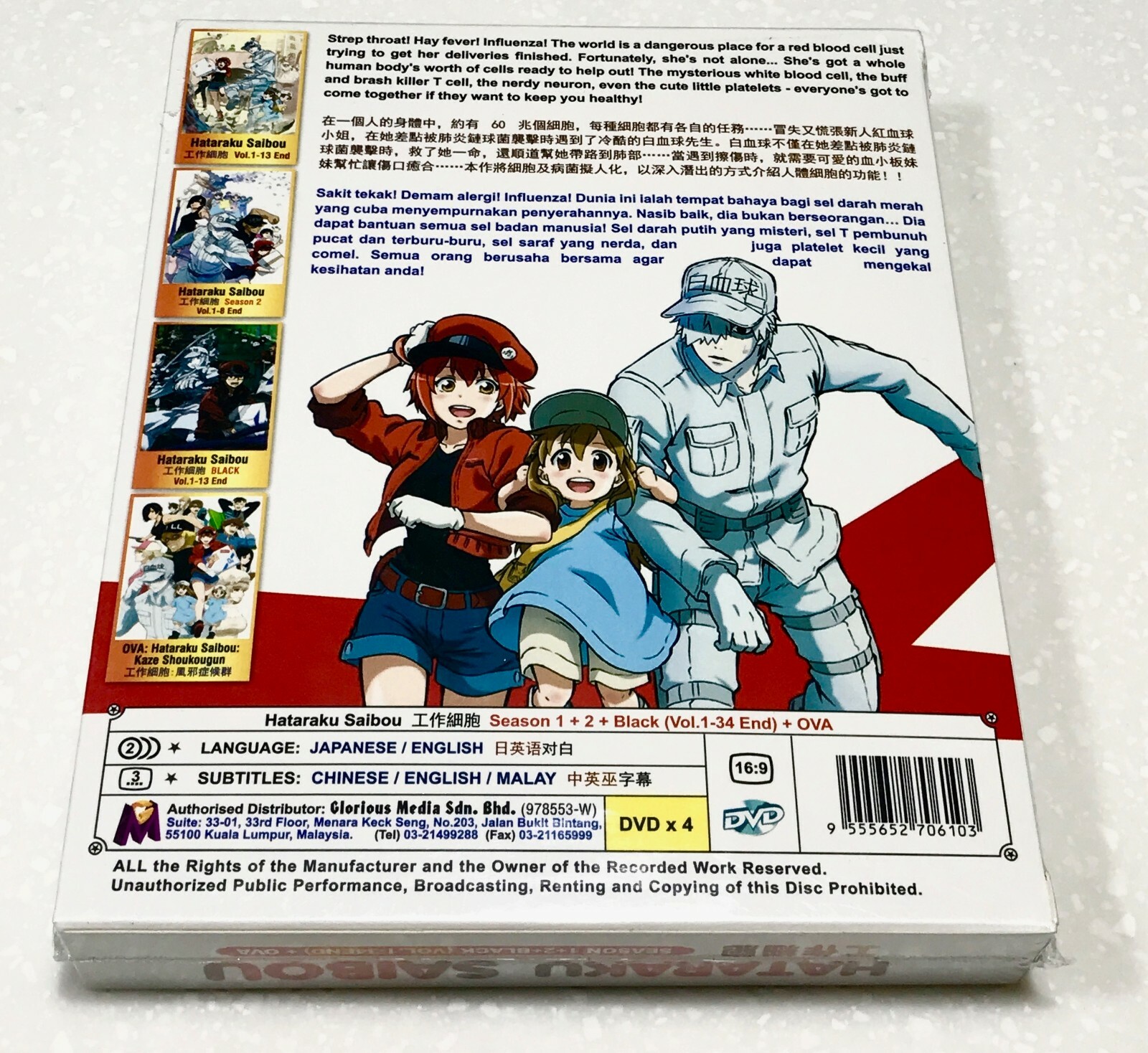 Cells at Work! (Season 1&2 + Code Black + OVA) ~All Region~ English ...
