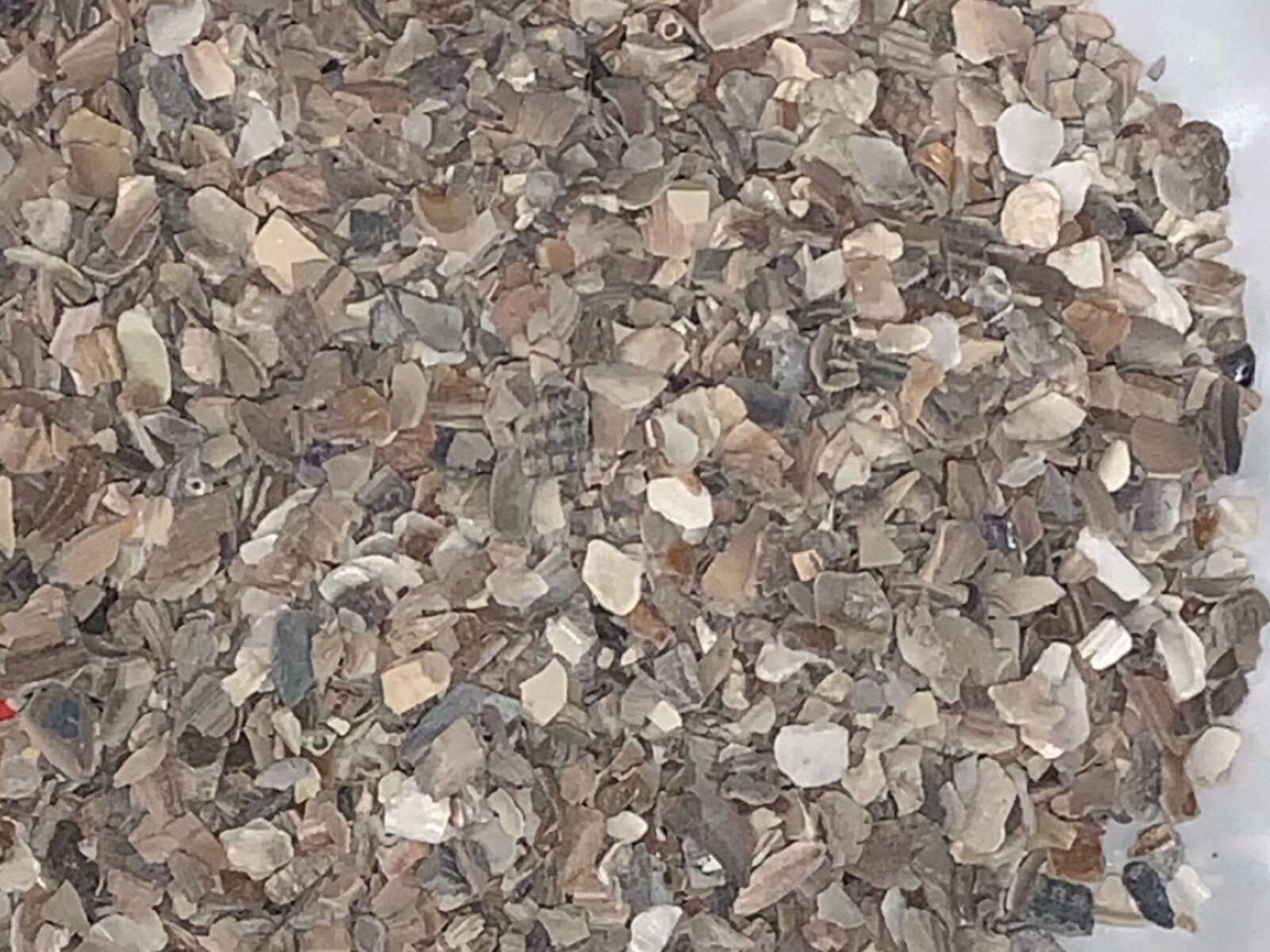 Oyster Shell Grit for Hens, Poultry 25kg - FREE DELIVERY - | eBay