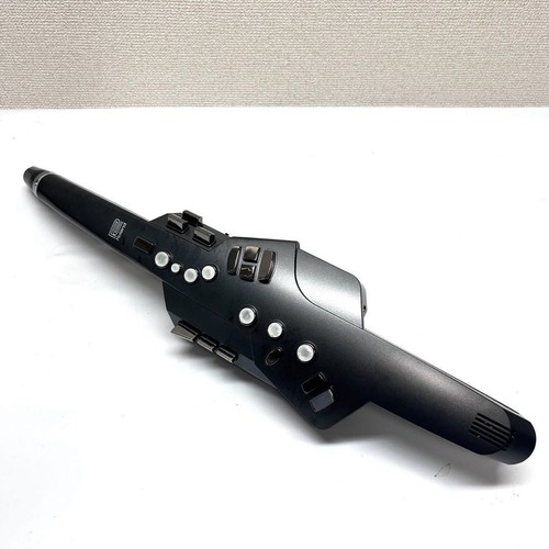 Roland Aerophone AE-10 Digital Wind Instrument Electronic Sax Japan | eBay