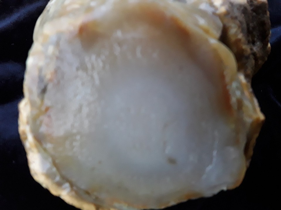 8" Raw Blue Chalcedony Agate Chert Lapidary Rough Natural Healing Reiki ...