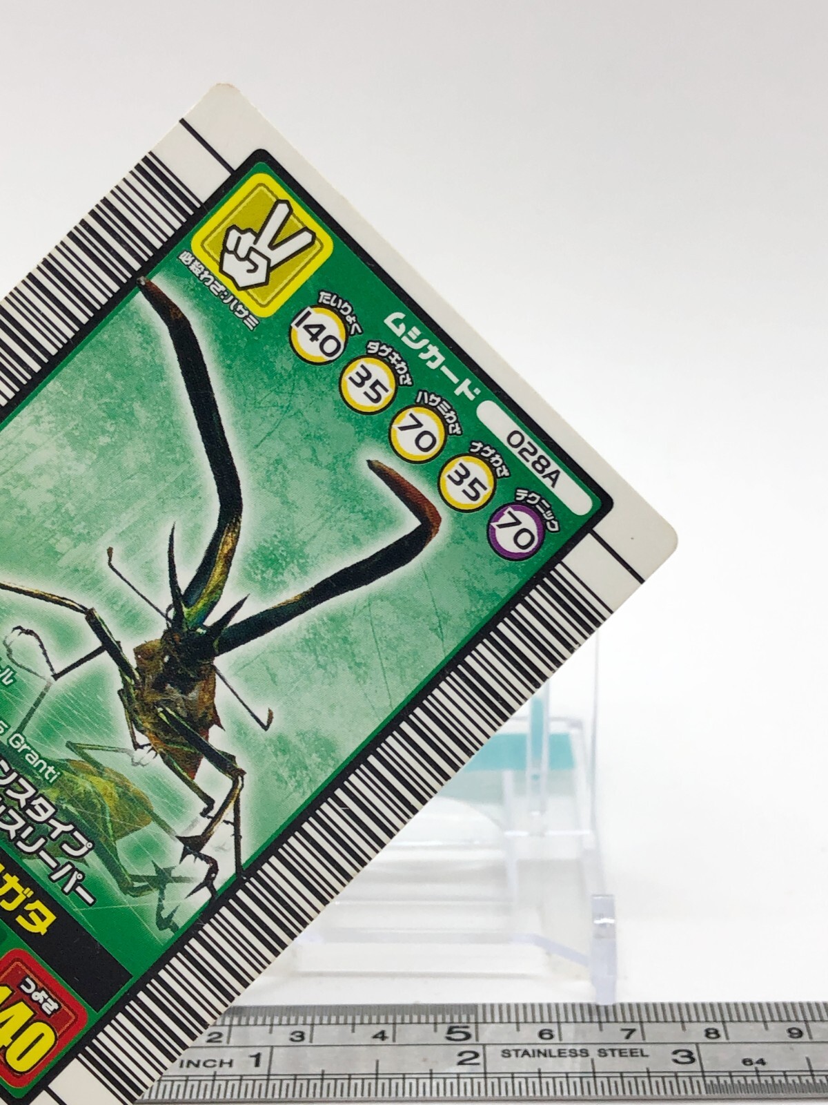 Little stag beetle The King of Beetle Mushiking Card Game SEGA Japanese ...