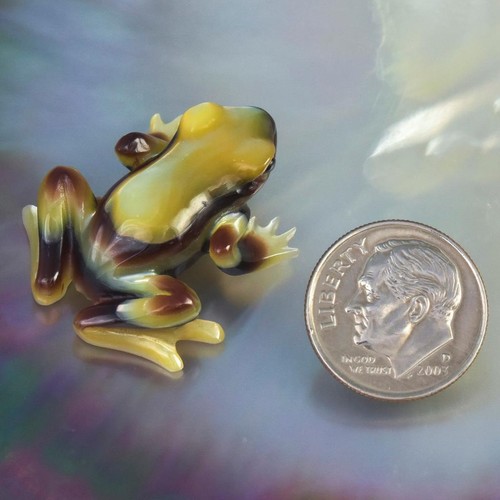 Curare Poison Arrow Frog Mother-of-Pearl Shell Carving Collection ...