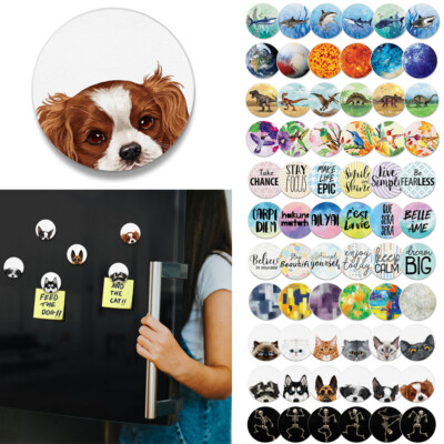 6 Pcs/Set Round Refrigerator Magnets Fridge Holder Sticker Notes ...