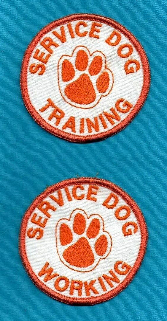 SERVICE DOG - w/Paw Print - ORANGE - service dog vest patch | eBay