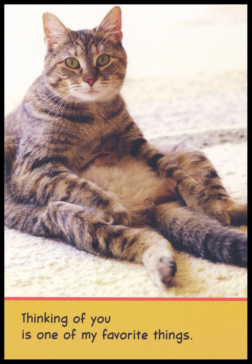 Thinking Kitten