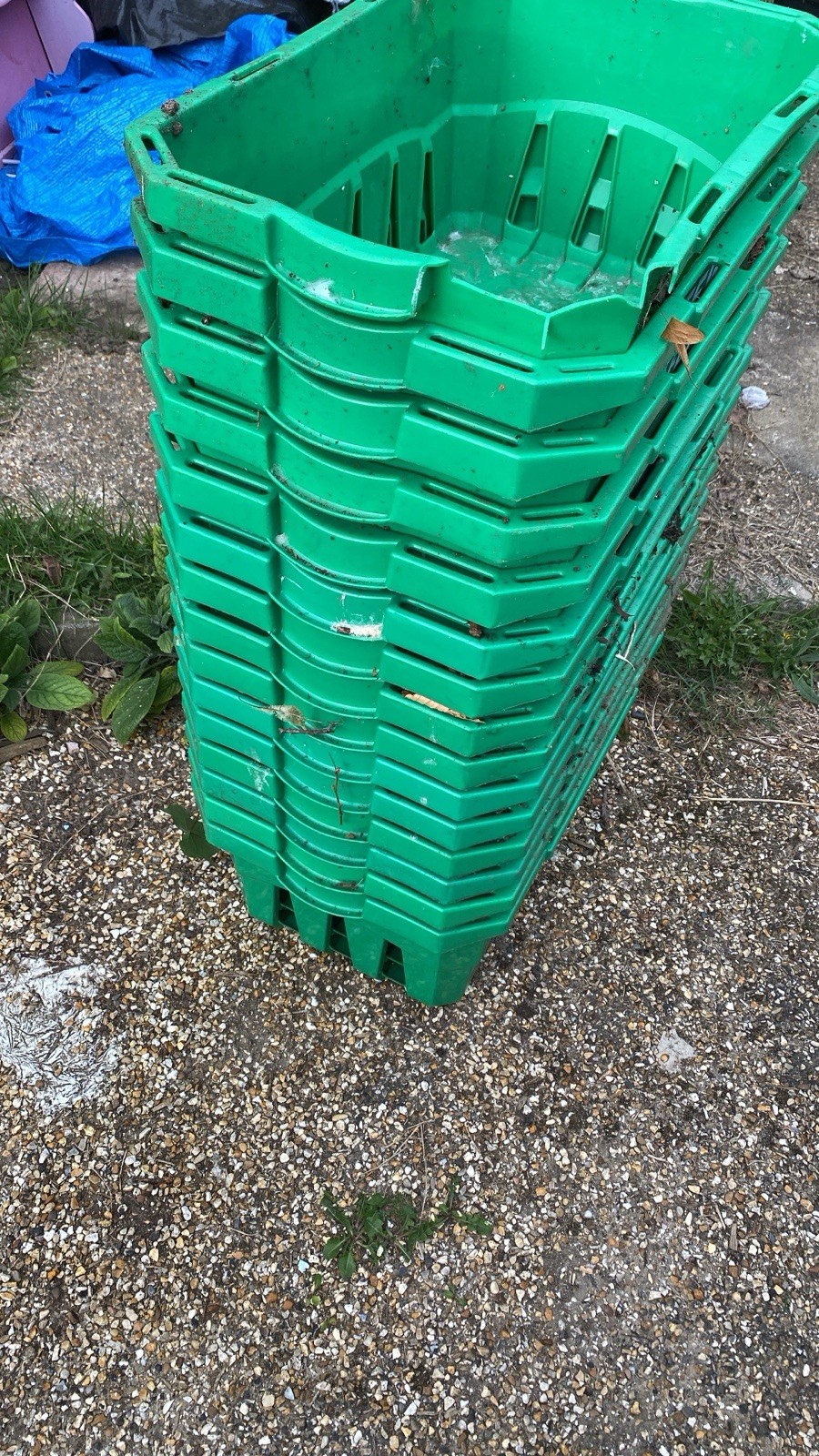 Safeway Vintage Retro Green box Shopping Storage Garage Car Boot Sales ...