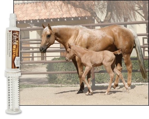 Equine Calming for Horses, 60 ml, Paste | eBay