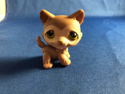 LPS Littlest Pet Shop #358 Tan Husky With Green Eyes | eBay