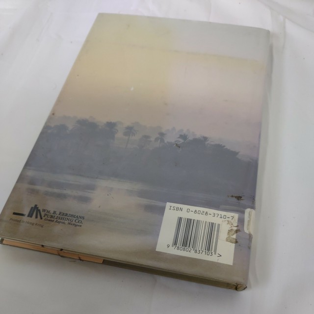 Son of Man : A New Life of Christ by John William Drane (1993 ...