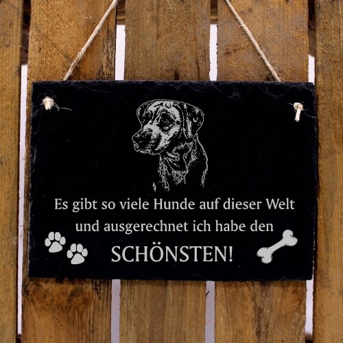 Hundeschild Rhodesian Ridgeback Schild aus Schiefer - Ich habe den ...
