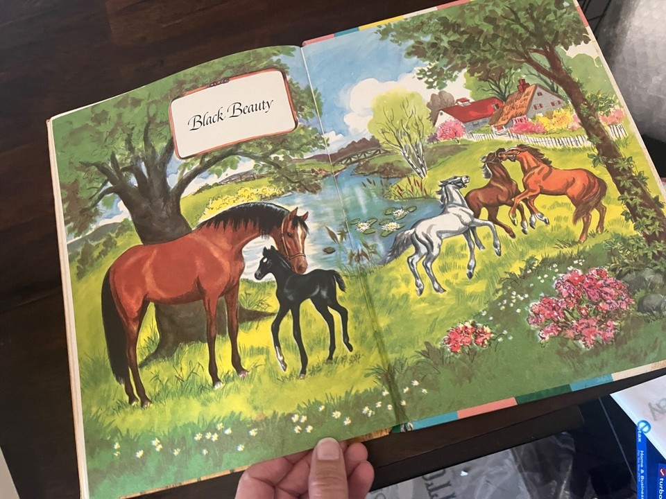 Black Beauty Adapted by Eleanor Graham Vance - Anne Sewell Vintage HC ...