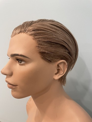 Used Adel Rootstein Male Mannequin Hardcap Wig Only | eBay