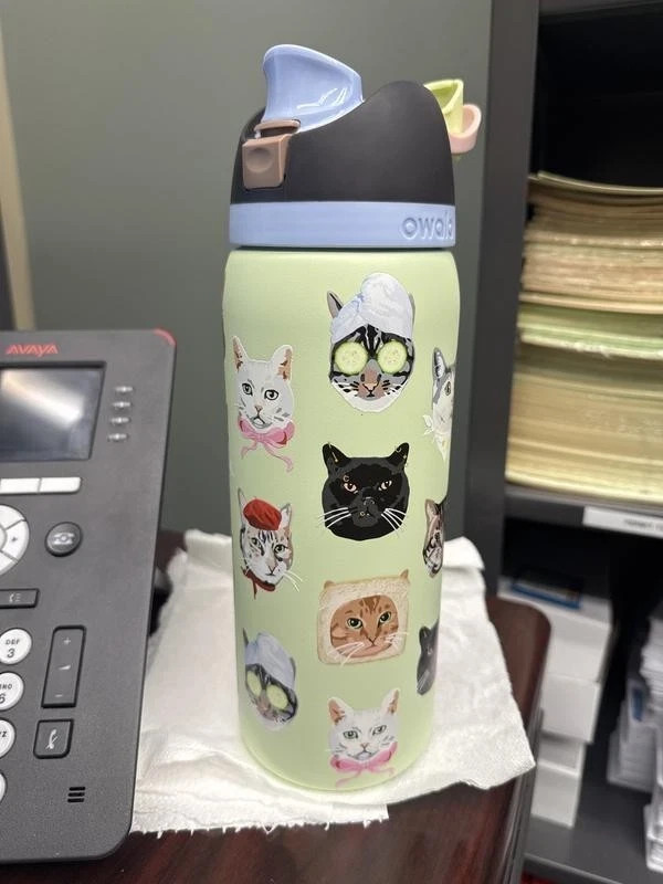 OWALA FREESIP “CAT COLLAGE” COLOR DROP 32 OZ. BOTTLE--NEW/SEALED!! | eBay