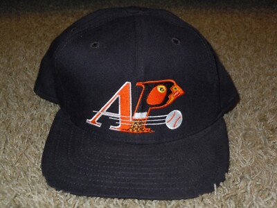 Vintage ABERDEEN PHEASANTS New Era On-Field Hat Cap 7 3/8" RARE Orioles ...