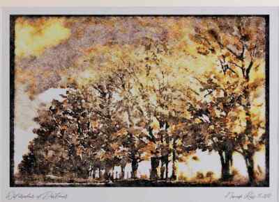 199049 Trees In Autumn Near Magog Quebec A3 Watercolour print | eBay UK