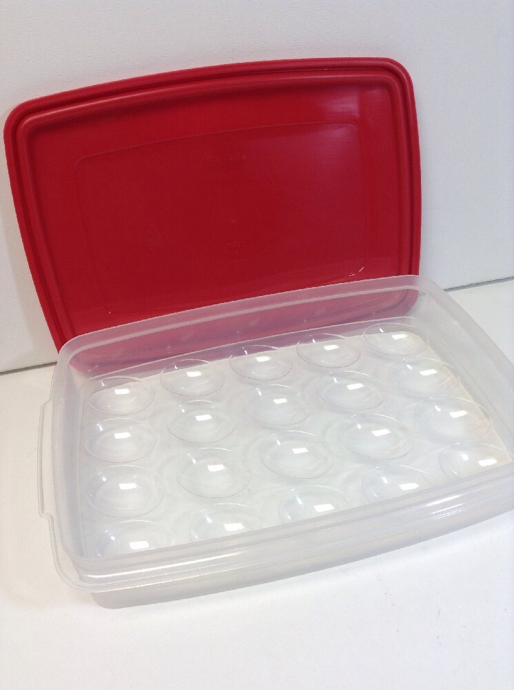 Rubbermaid Plastic Egg Container Holds 20 Eggs Clean with Red Lid | eBay