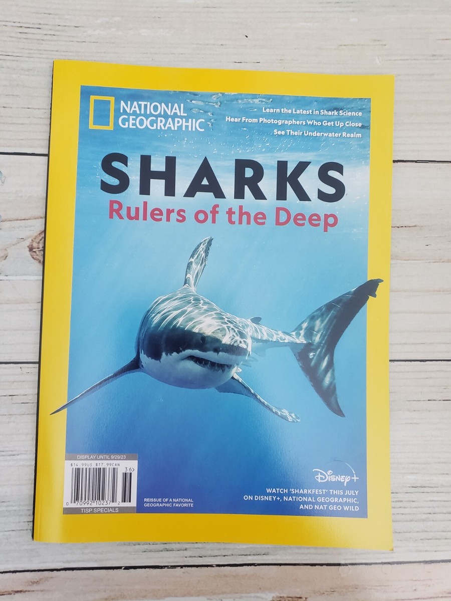 National Geographic Pictures Of The Year Shark Closer Look At National