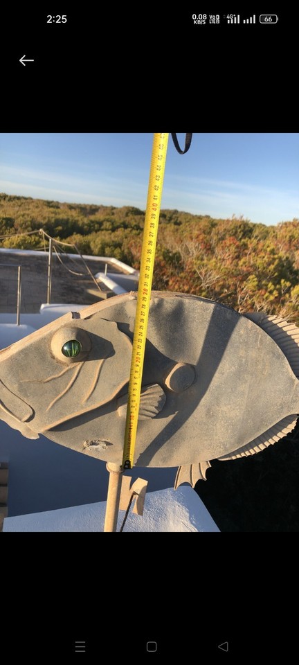 Mini Vane Iron Weather Fish Vane | eBay