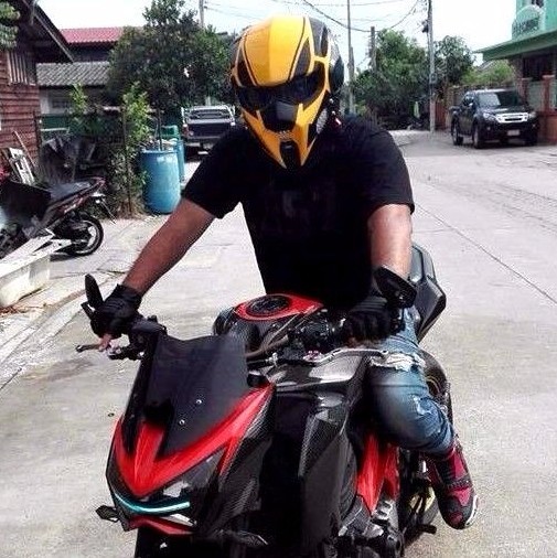 WOLF BUMBLE-BEE GLOSSY B&Y CUSTOM MOTORCYCLE HELMET 3LAMPs OPEN FACE ...