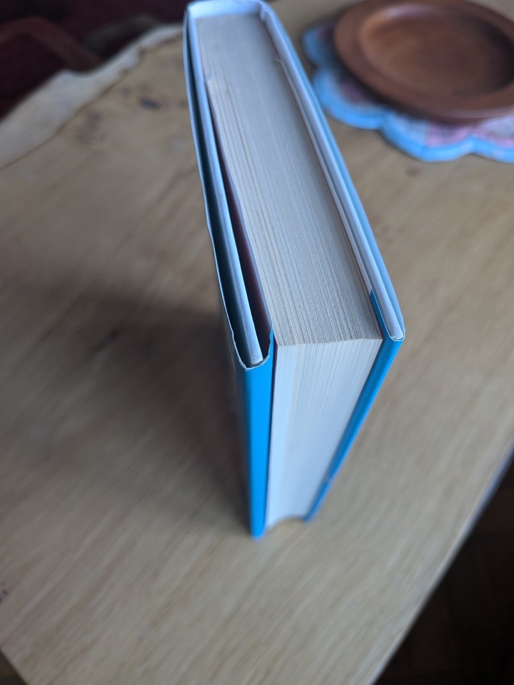 Ratburger by David Walliams Hardcover (2012) | eBay UK