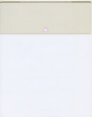 25 High Security Blank Check Stock Paper - Check on Top - Gold ...