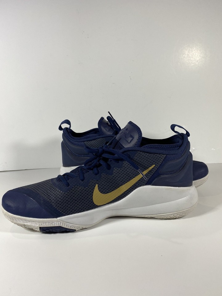 Nike Men's LeBron Witness 2 'Midnight Navy' Blue/Gold Sz 14 942518-423 ...