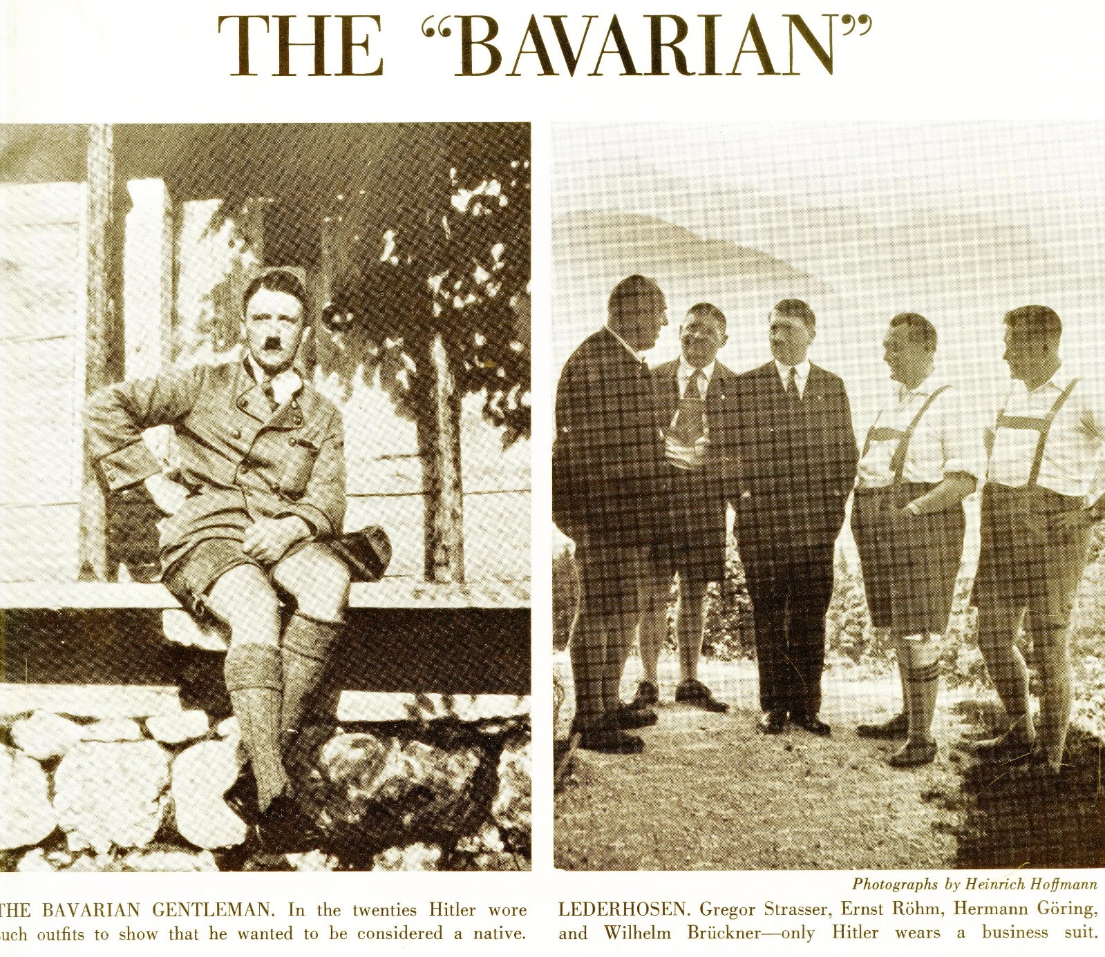 Sieg Heil! (Hail to Victory) : An Illustrated History of Germany from ...