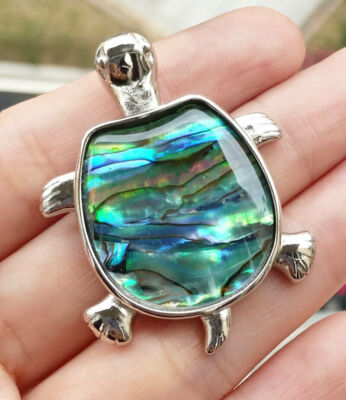 5pcs Natural Abalone shell Turtle Pendant Energy Reiki Healing Amulet ...