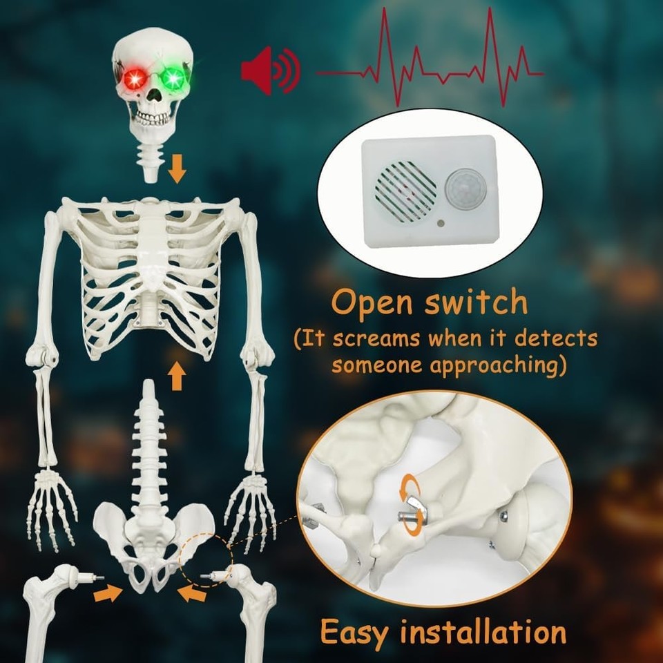 6Ft Skeleton Halloween Decor,Realistic Full Body Movable Posable Joints ...