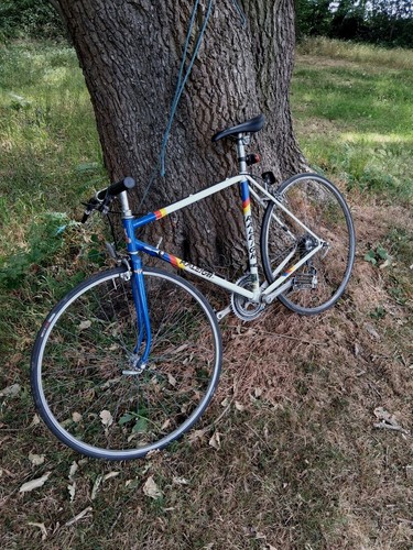 Raleigh Racer Vintage | eBay UK