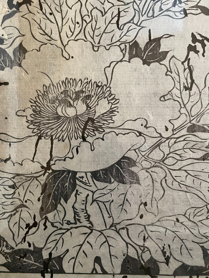 1755 Botany Ukiyo-e Samurai Japan Medicinal Plants Edo Woodblock Print ...