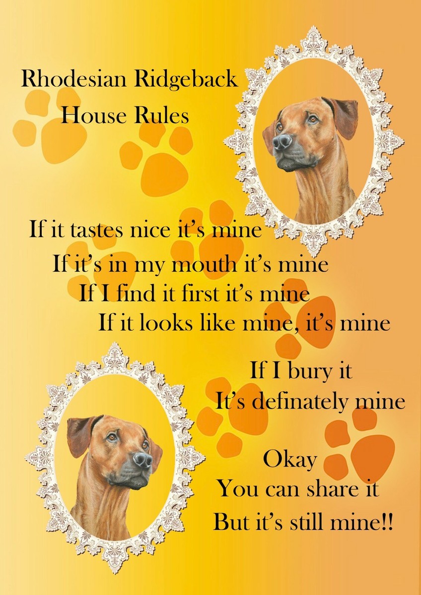 Rhodesian Ridgeback Quotes