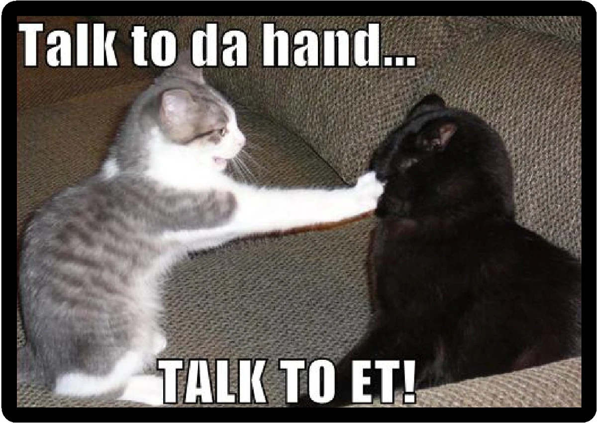 Talk To The Hand Meme