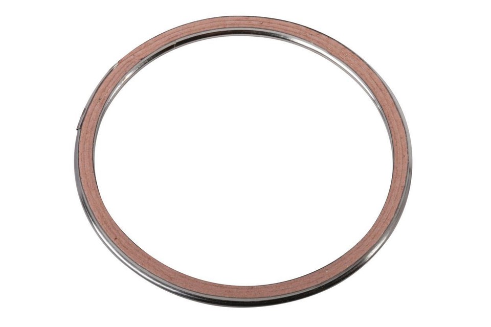 GM Genuine Parts 12672379 Catalytic Converter Gasket | eBay