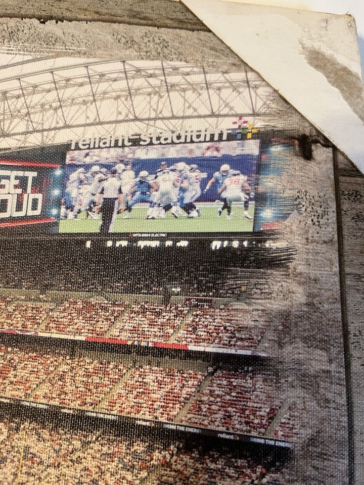 NRG /Reliant Stadium Canvas Wall Art Houston Texans | eBay